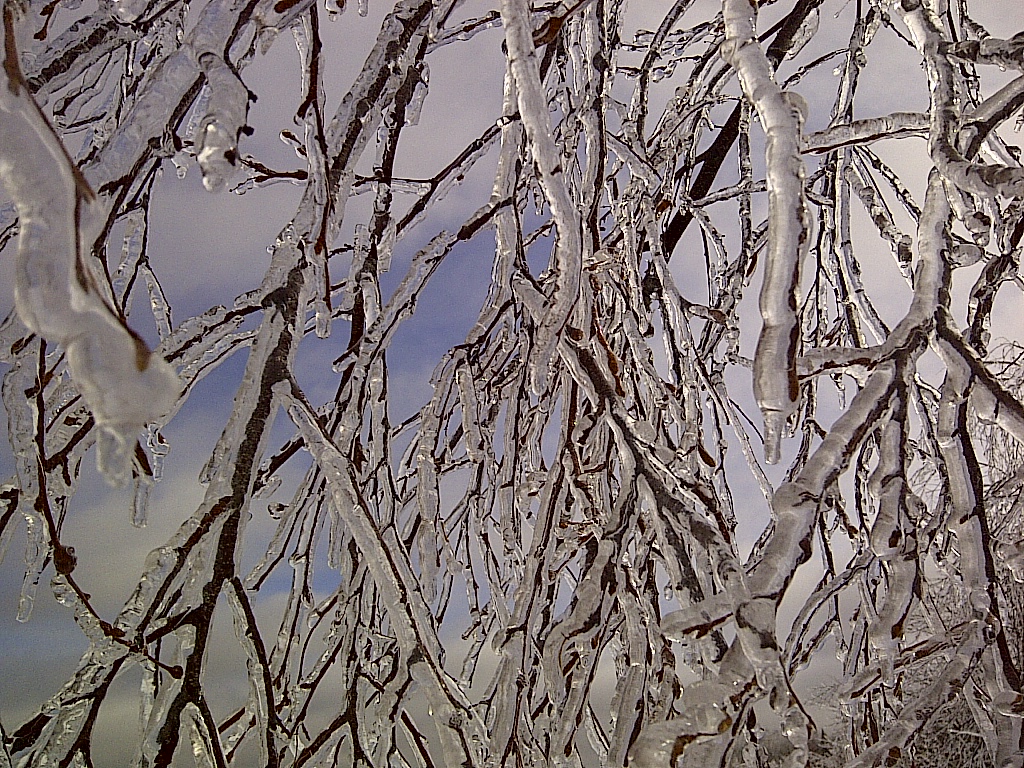 Index of /Photos/Freezing_Rain_March_2012/