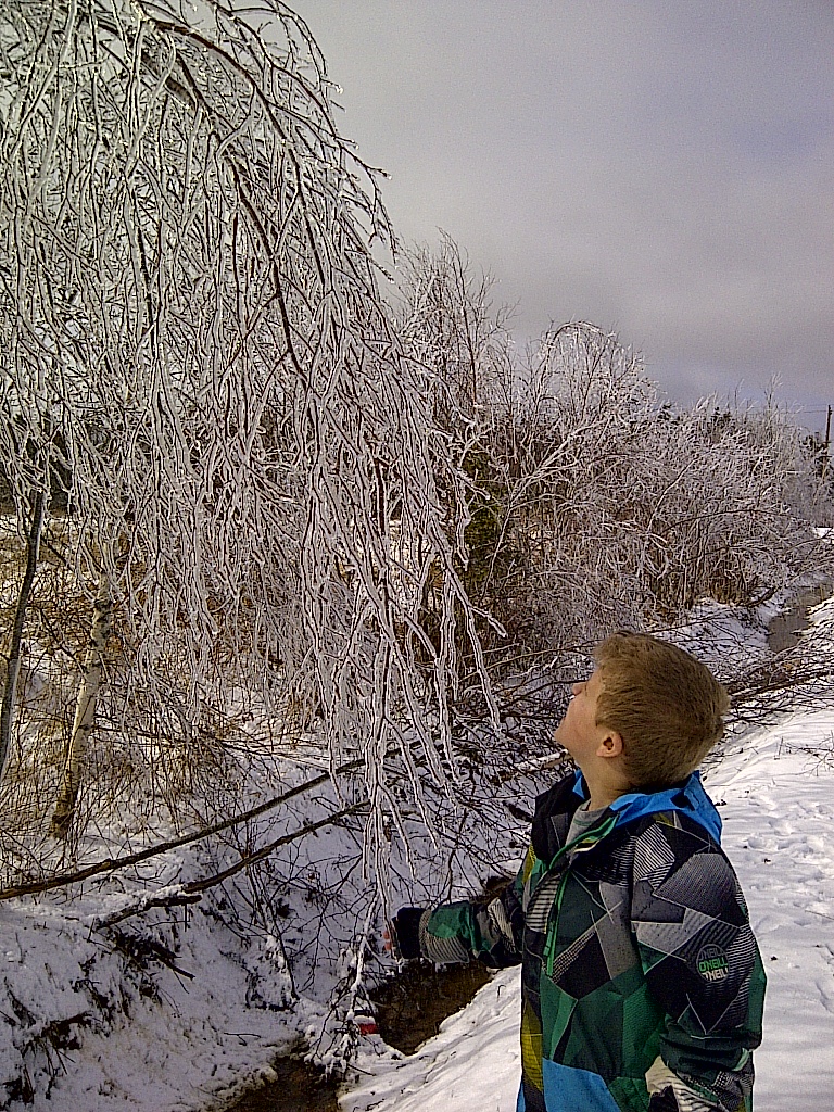 Index of /Photos/Freezing_Rain_March_2012/