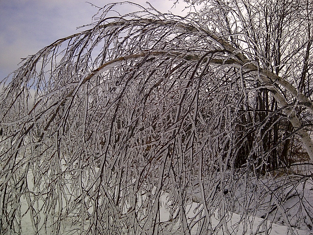 Index of /Photos/Freezing_Rain_March_2012/